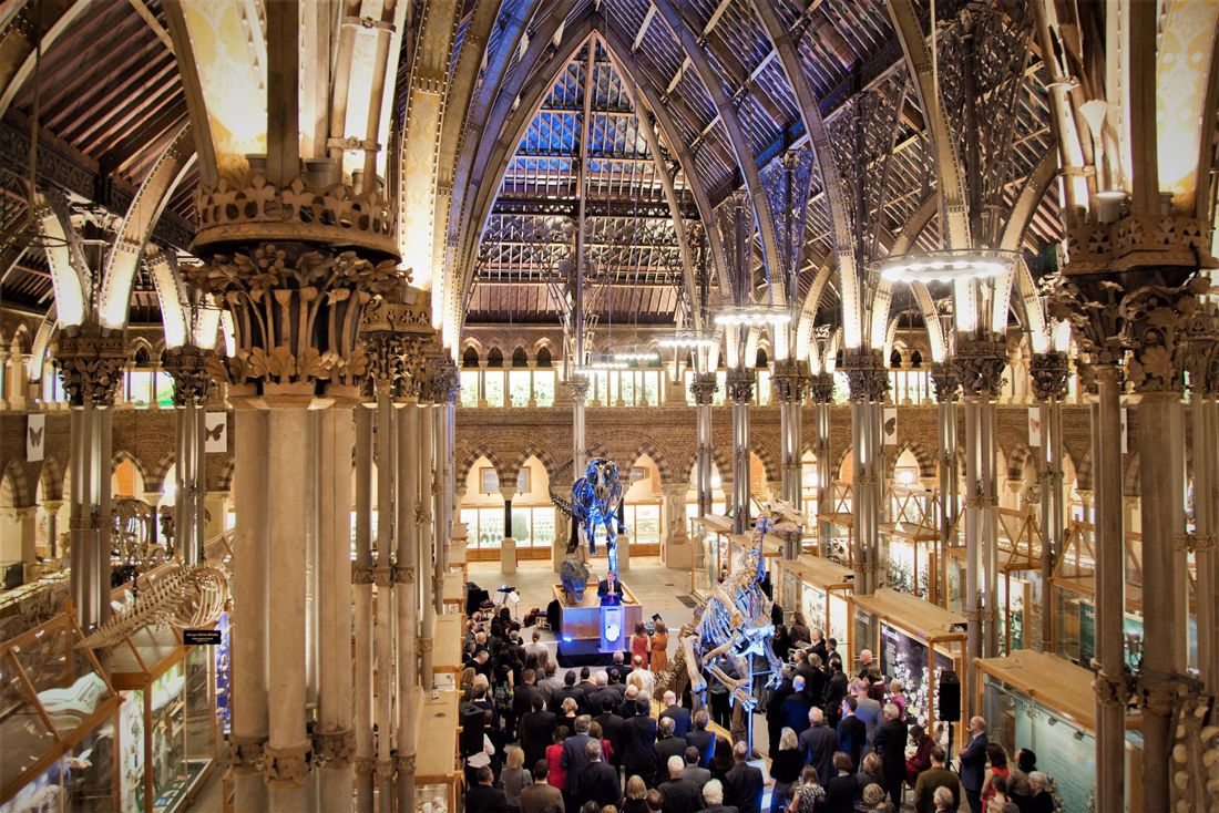 A Night at the Museum - The Evolution of Opuz as a CAFM Solution - Opuz ...
